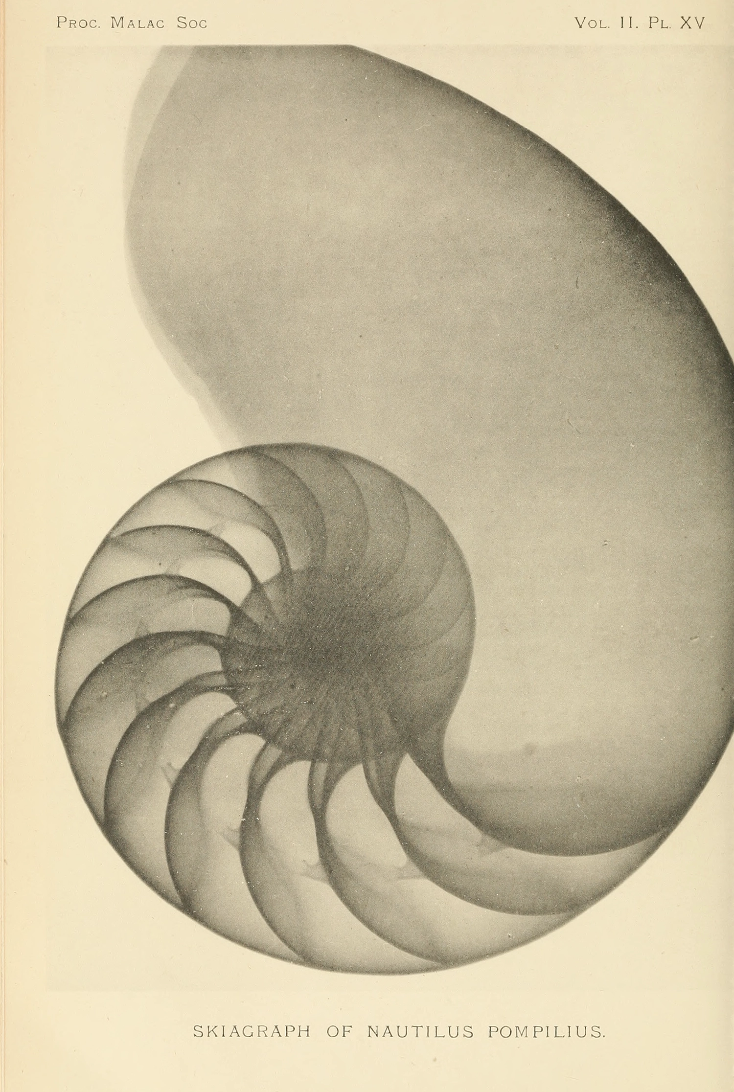 What is Intelligence? | Antikythera